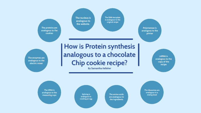 How is Protein synthesis analogous to a chocolate Chip cookie recipe by ...