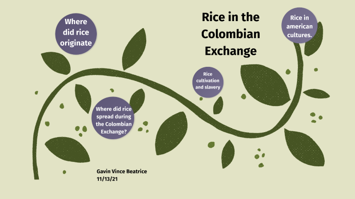 Rice During the Columbian Exchange by Gavin Osoria on Prezi