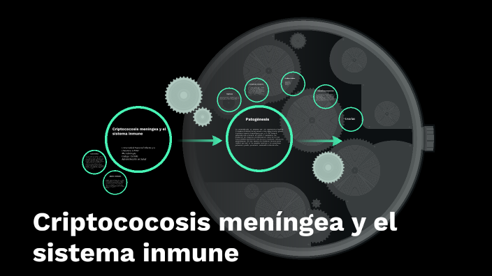 Criptococosis meníngea by Nashary Valentina Idrobo Ruiz on Prezi
