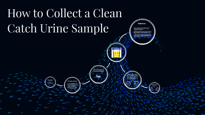 How to Collect a Clean Catch Urine Sample by Sunny Vu on Prezi