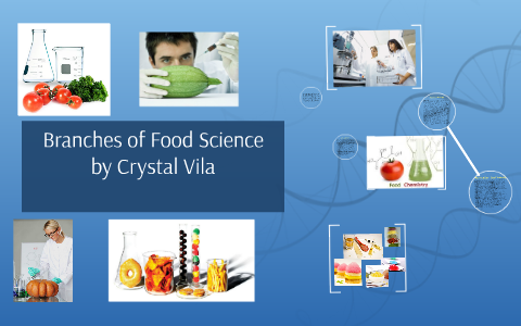 Branches of Food Science by Crystal Vila on Prezi