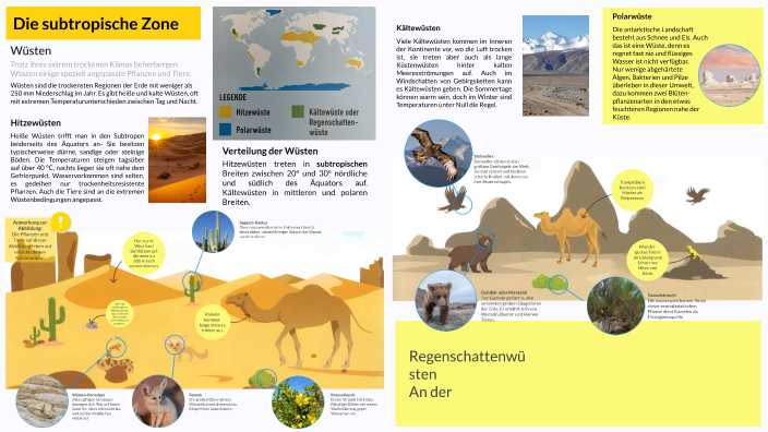 Subtropische Zone by Liza Winkler on Prezi