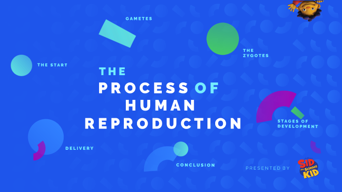 The Process of Human Reproduction Presented by Sid the Science Kid by ...