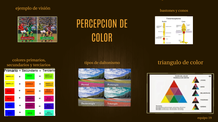 PERCEPCIÓN DEL COLOR by Diego David Vigil Reyes on Prezi