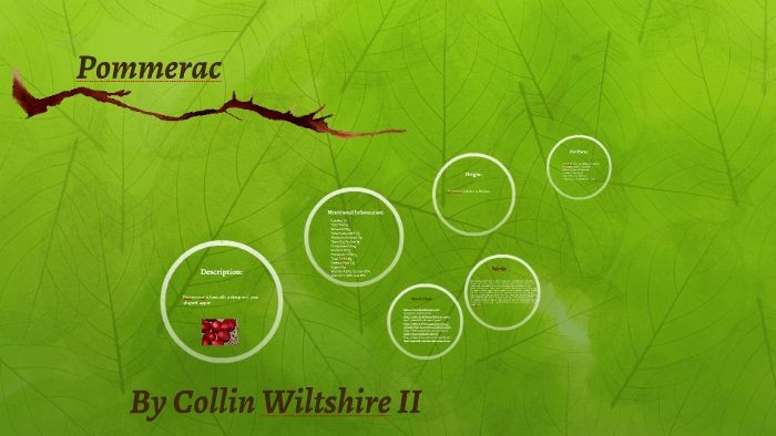 Pomerac Fruit by Collin Wiltshire II on Prezi