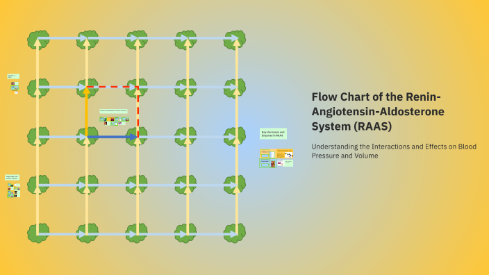 Flow Chart of the Renin-Angiotensin-Aldosterone System (RAAS) by Emily ...