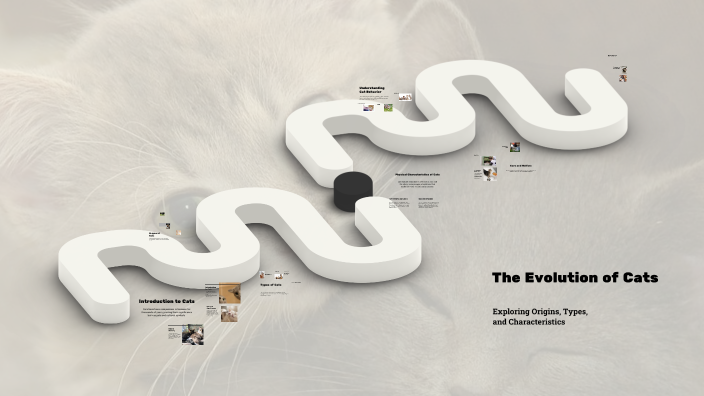 The Evolution of Cats by Matyas Kopecký on Prezi