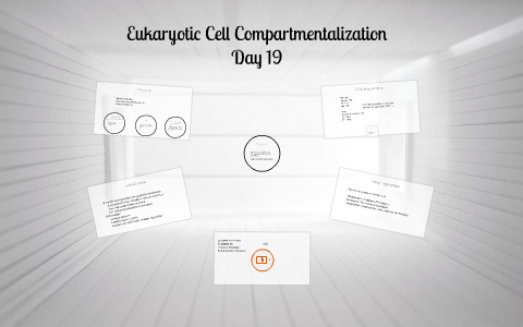 Eukaryotic Cell Compartmentalization by on Prezi