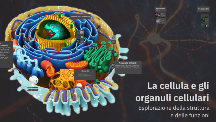 La cellula e gli organuli cellulari by Samuele Massaro on Prezi
