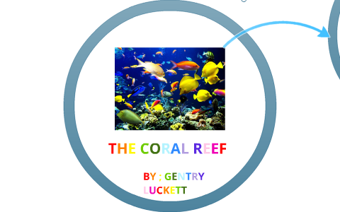 A LOOK INSIDE THE CORAL REEF by Gentry Luckett on Prezi