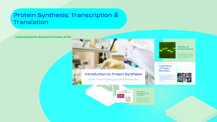 Protein Synthesis: Transcription & Translation by Madison Parks on Prezi