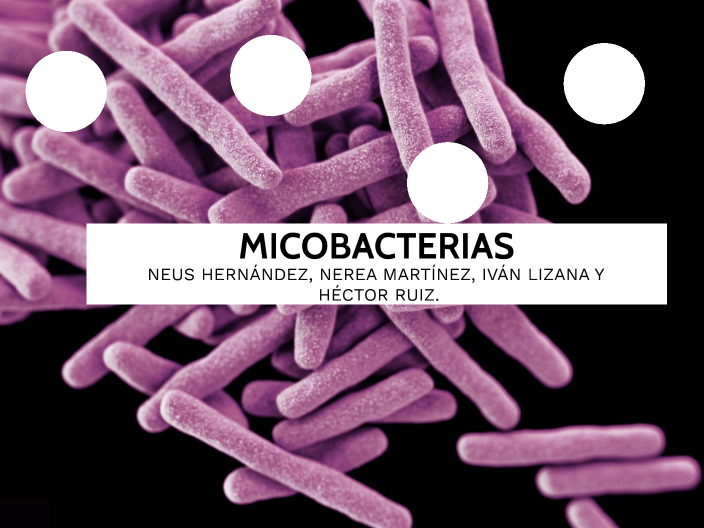 MICOBACTERIAS by Neus Hernandez Ubiedo on Prezi