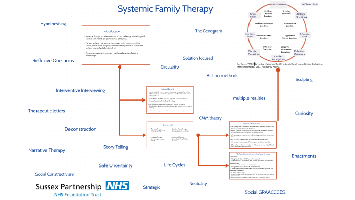 Systemic Family Therapy By Jacqui Somasundram systemic-family-therapy-by-jacqui-somasundram