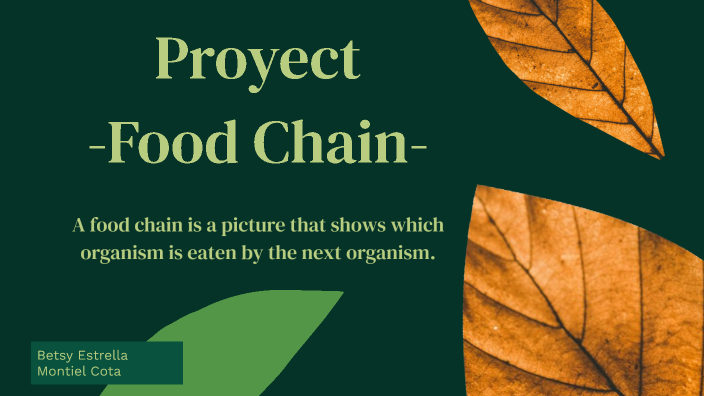 Proyect-Food Chain by Venny Cm on Prezi