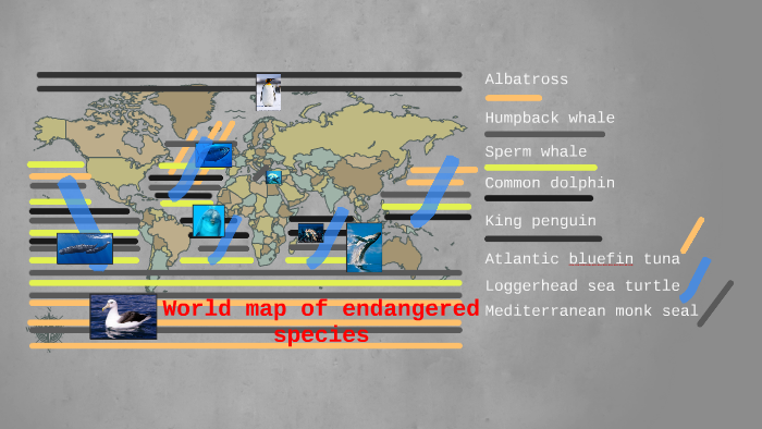 World map of endangered species by Jordi Brull on Prezi