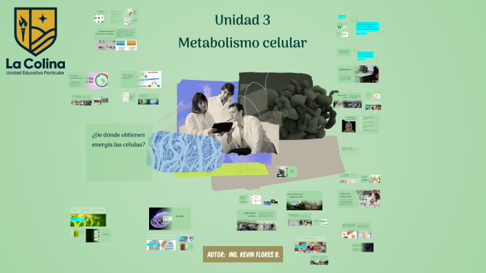 Unidad 3 – Metabolismo celular by Kevin Flores on Prezi