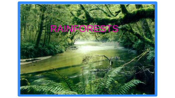 rainforests by liam vella on Prezi