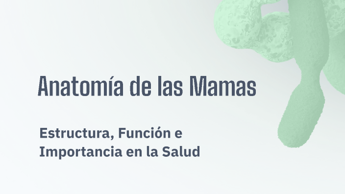 Anatomía de las Mamas by José Veces on Prezi