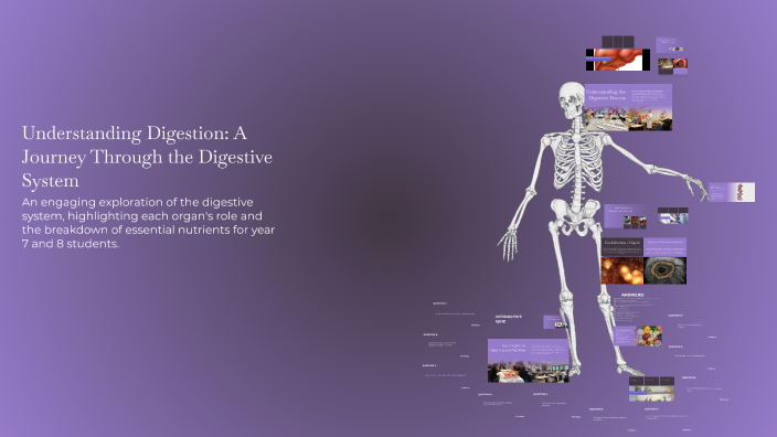 Understanding Digestion: A Journey Through the Digestive System by ella ...