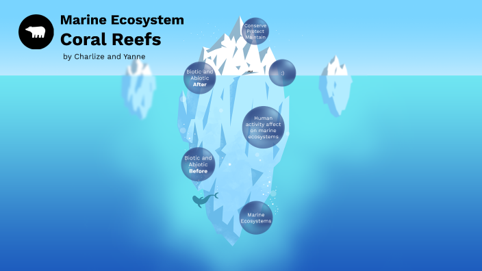 Marine Ecosystems research task by Charlize Wicker on Prezi