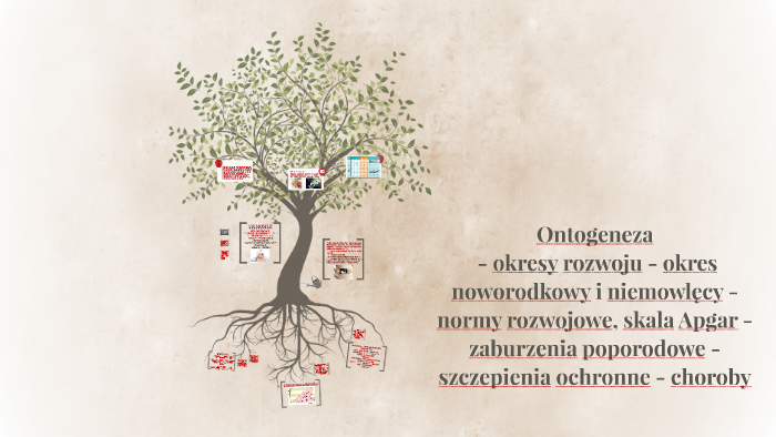 Ontogeneza by Karolina Anna on Prezi