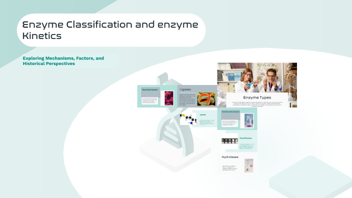 Enzyme Classification and Kinetics by soni kirti on Prezi