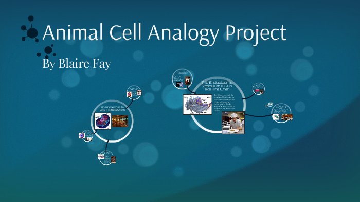 Animal Cell Analogy Project by blaire fay on Prezi