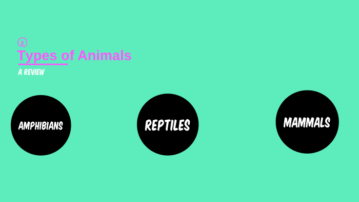 Types of Animals by Kyzer Bowling on Prezi