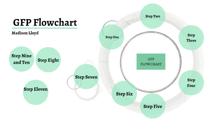 GFP Flow Chart by Madison Lloyd on Prezi