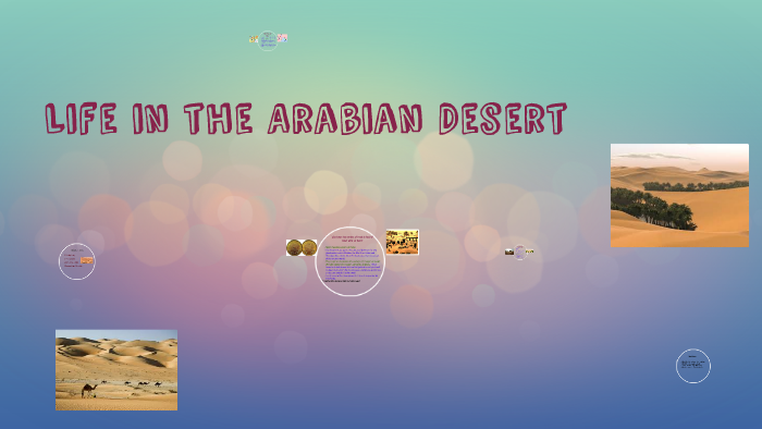 Life in the Arabian Desert by Shreya Adupa on Prezi