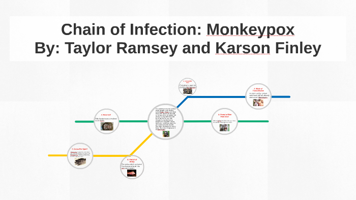 Chain of Infection: Monkeypox by k f on Prezi