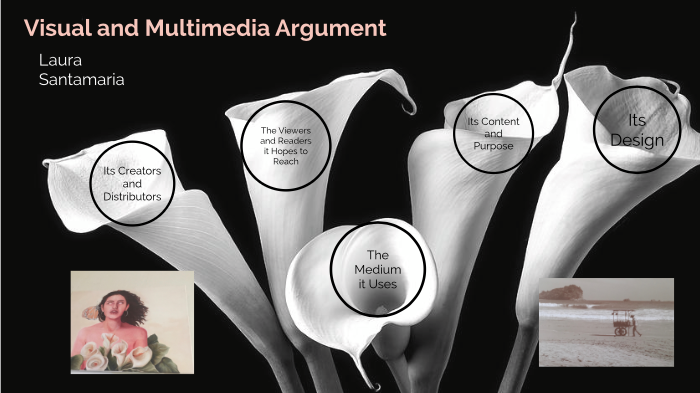 P6:Laura Santamaria Visual and Multimedia Argument by Laura Santamaria ...