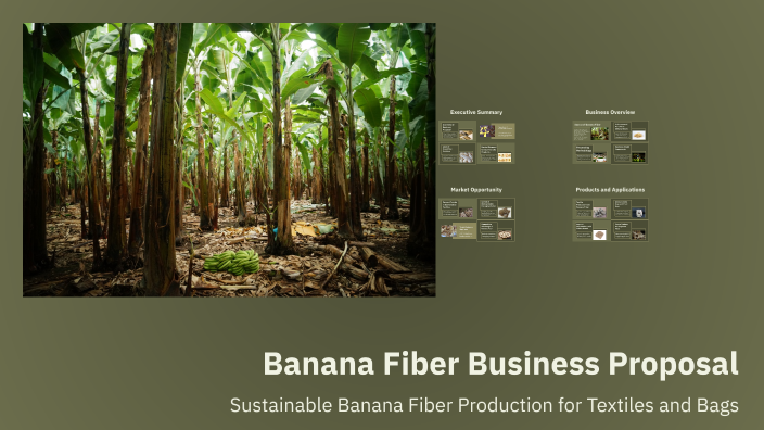 banana fiber business proposal by Nandini GS on Prezi