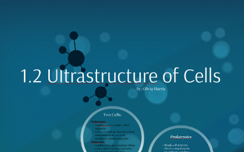 1.2 Ultrastructure of Cells by olivia harris (: on Prezi
