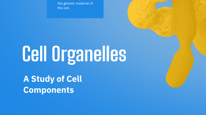 Cell Organelles by Adam Wetzel on Prezi