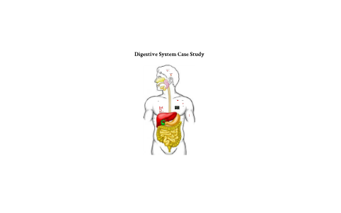 Digestive System Case Study by Molly Resnick on Prezi