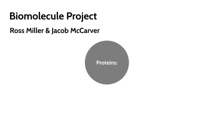 Biomolecule Project by ross on Prezi
