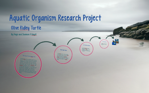 Aquatic Organism Research Project by Shannon R on Prezi