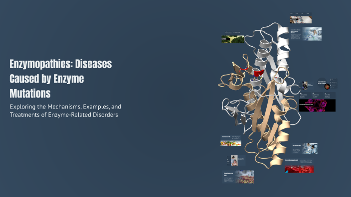 Enzymopathies: Diseases Caused by Enzyme Mutations by lamia khadim on Prezi