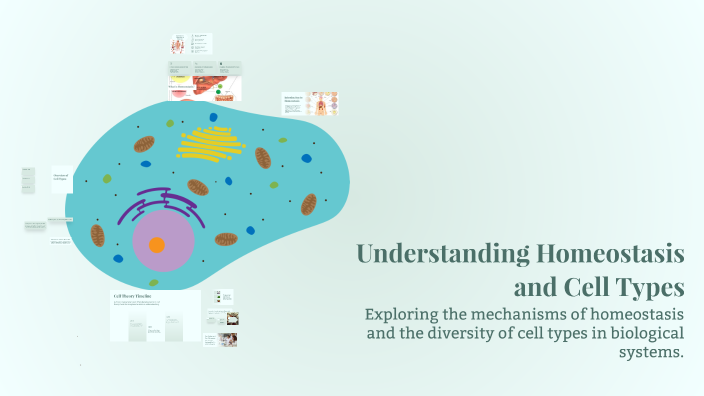 Understanding Homeostasis and Cell Types by Randy Andigema on Prezi