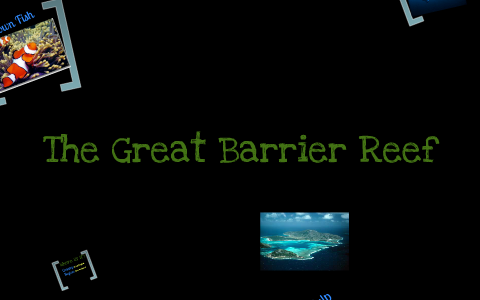 Great Barrier Reef by Alicia Kulp on Prezi