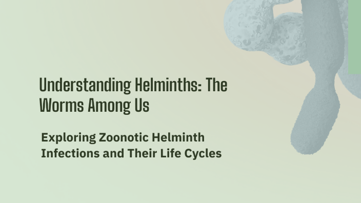 Understanding Helminths: The Worms Among Us by Shahd Atif on Prezi