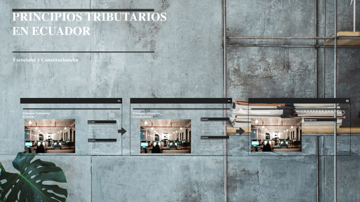 Farias Carlos_CA4-1_Principios Tributarios en Ecuador by CARLOS JEREMY ...