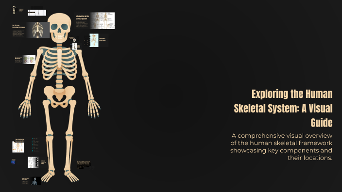 Exploring the Human Skeletal System: A Visual Guide by Keyrin Arriola ...