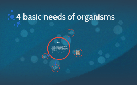 4 basic needs of organisms by Charlotte VanHoutan on Prezi