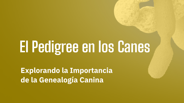 El Pedigree en los Canes by EDINSON ACHO REATEGUI on Prezi