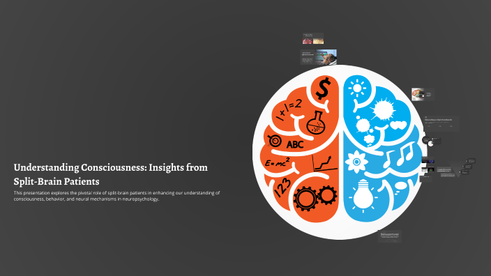 Understanding Consciousness: Insights from Split-Brain Patients by ...