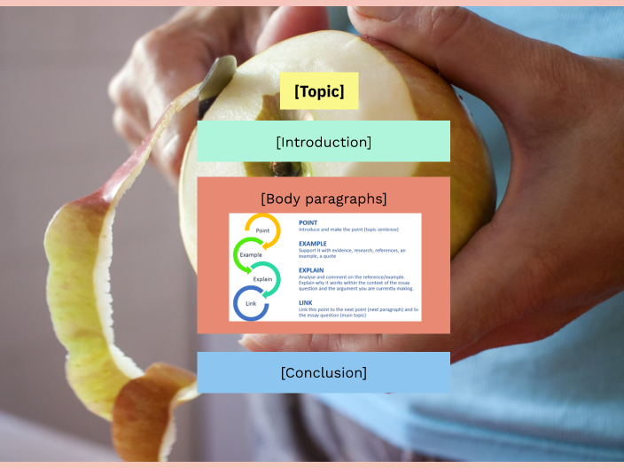 Understanding PEEL Structure in Argumentative Writing by Luna on Prezi