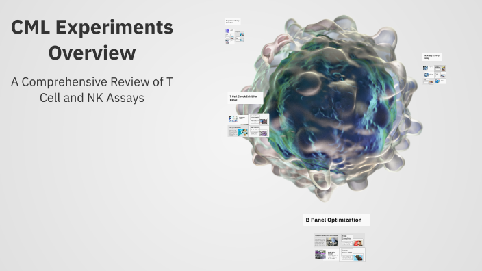 CML Experiments Overview by pakize ak on Prezi