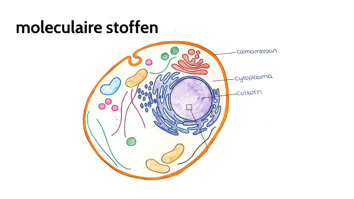 MOLECULAIRE STOFFEN by Gwyn Demas on Prezi